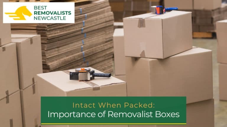 Intact When Packed: The Importance of Removalist Boxes - Best ...